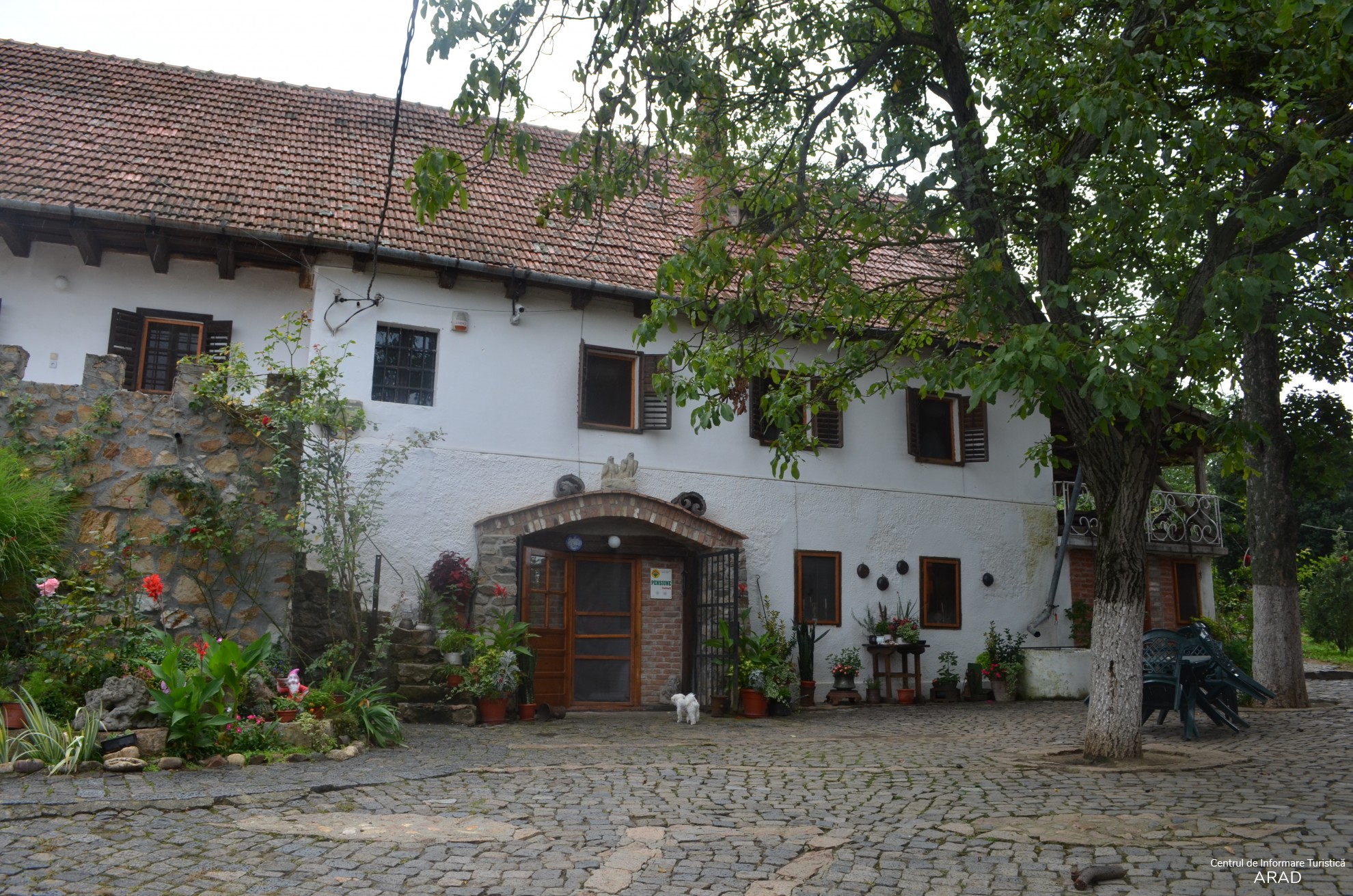 La Amadeus&Monica | CNIPT Arad