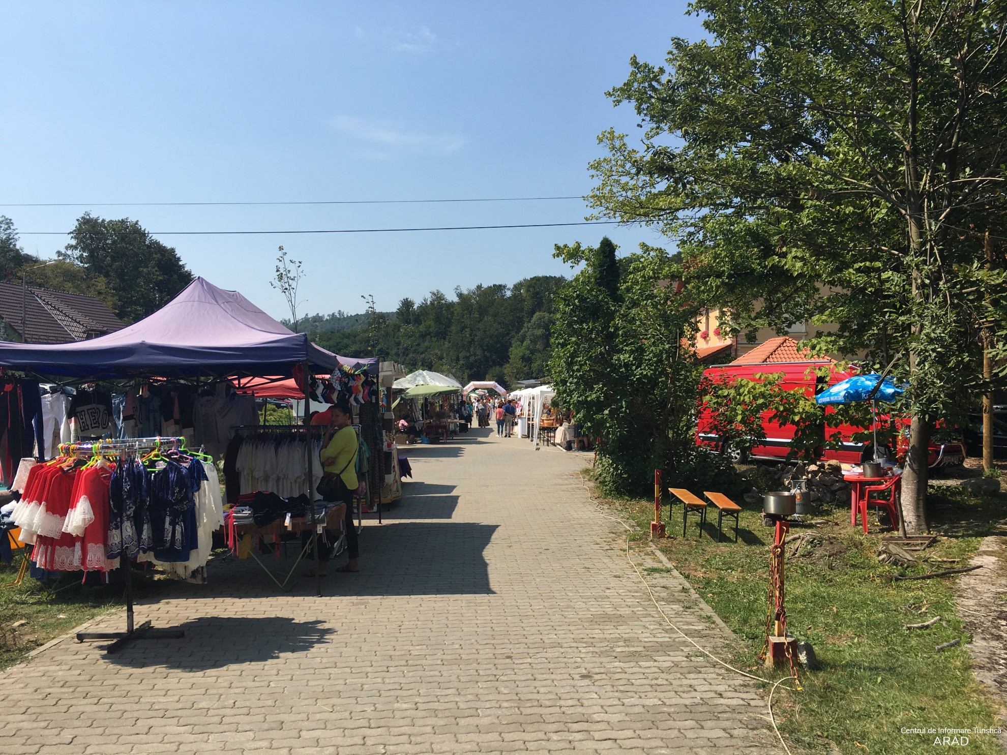 About Moneasa Resort | CNIPT Arad