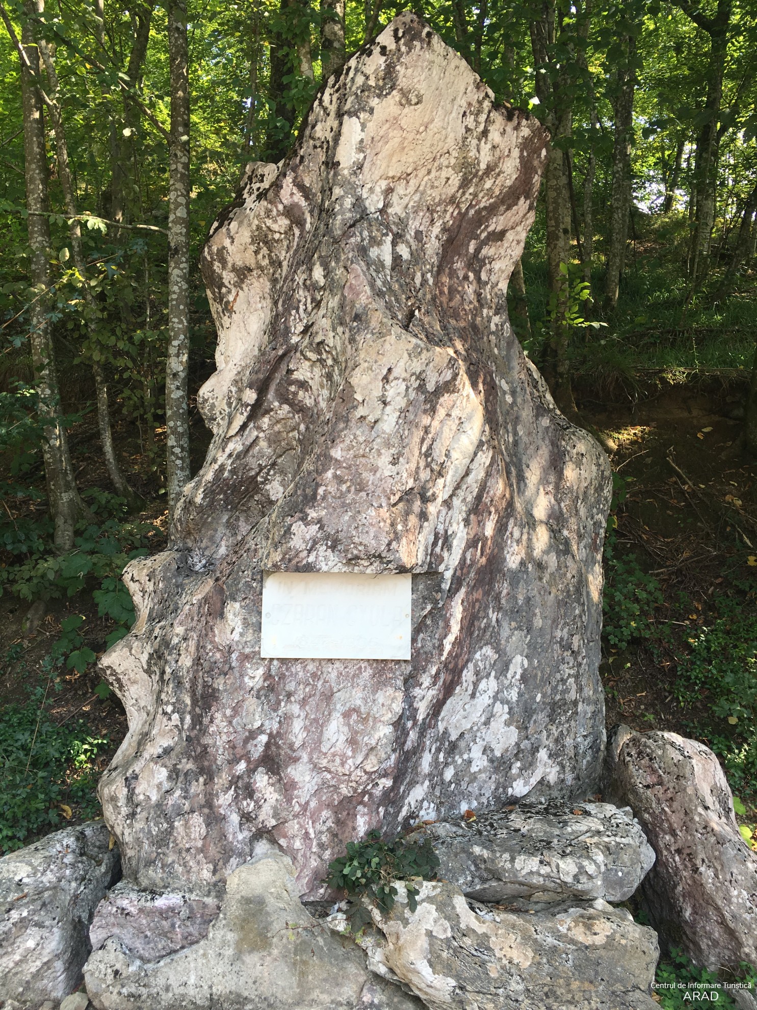 About Moneasa Resort | CNIPT Arad