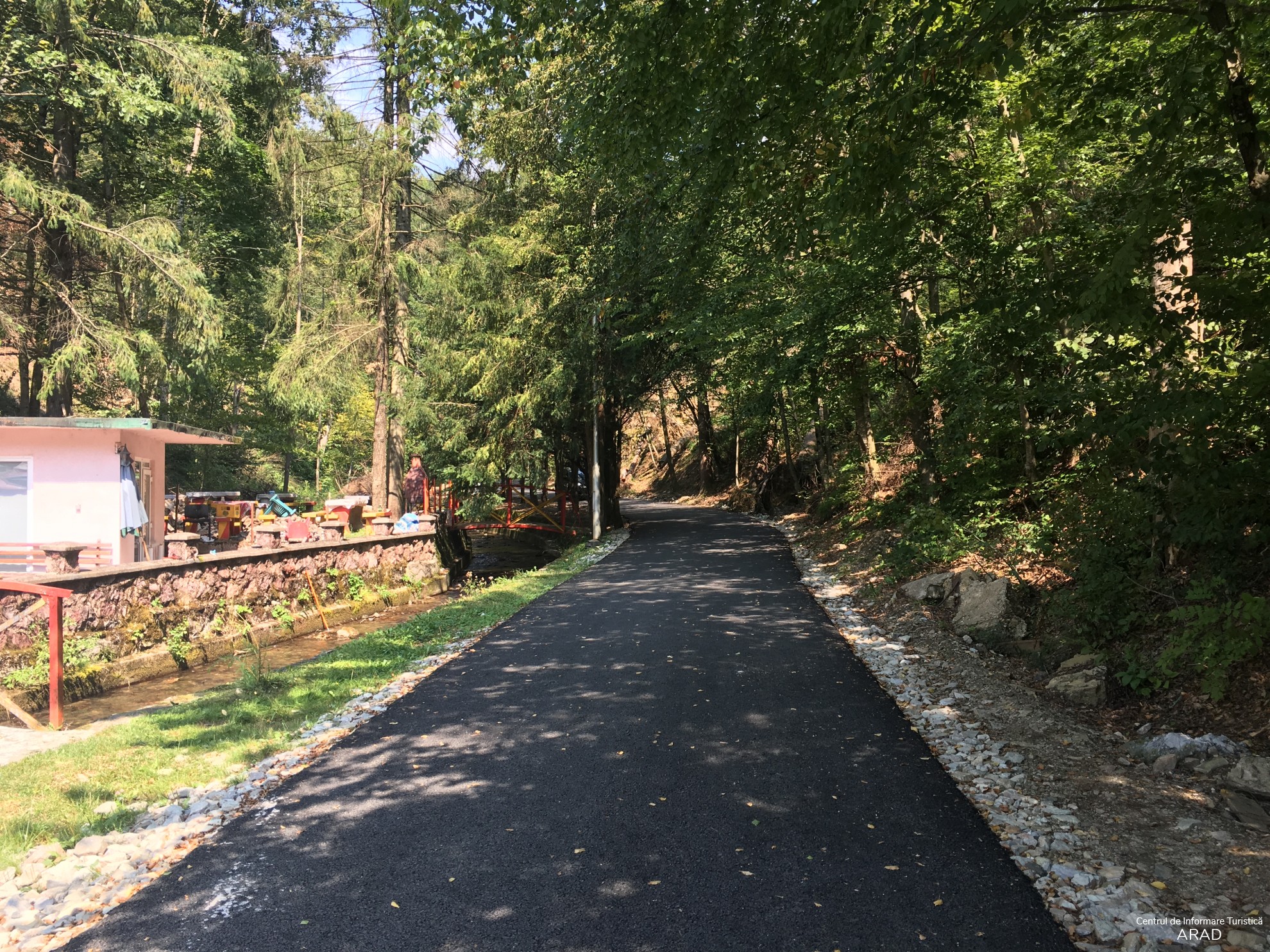 About Moneasa Resort | CNIPT Arad