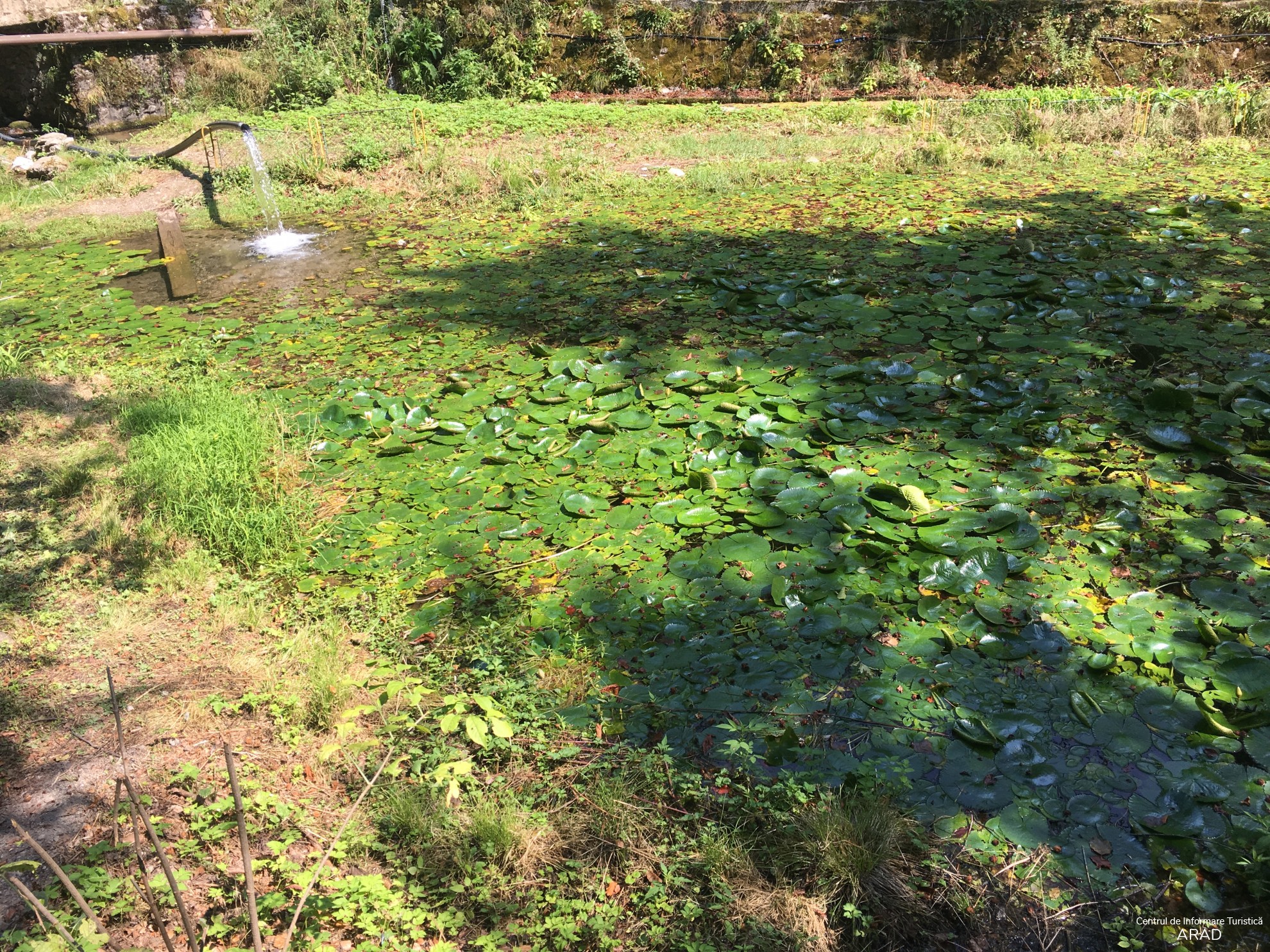 About Moneasa Resort | CNIPT Arad