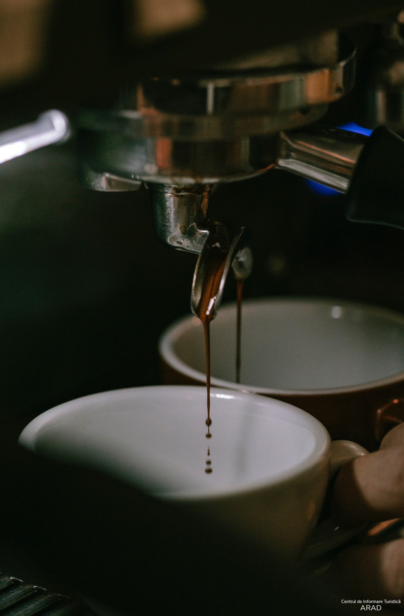 Kaffeine | CNIPT Arad